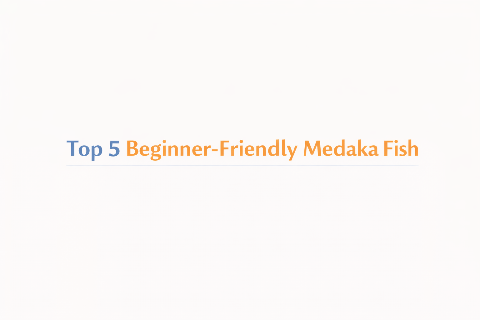 Top 5 Beginner-Friendly Medaka Fish – SNR Medaka USA